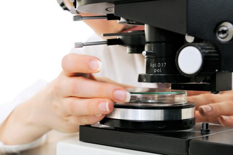 Pathology Services South Africa | PathCare | Pathology That Adds Value ...