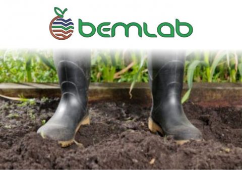 PathCare | Pathology That Adds Value | Pathology Laboratory Services