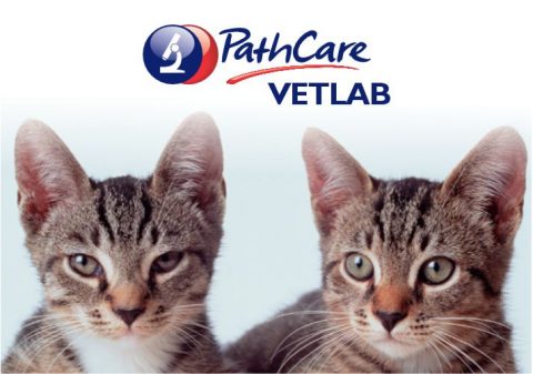 PathCare | Pathology That Adds Value | Pathology Laboratory Services